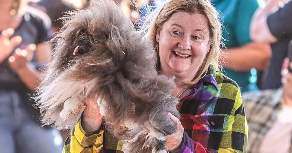Pekingese called Wild Thang scoops 'ugliest dog' title