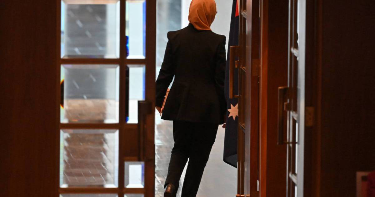 Payman decries 'bizarre' political reaction to Labor exit