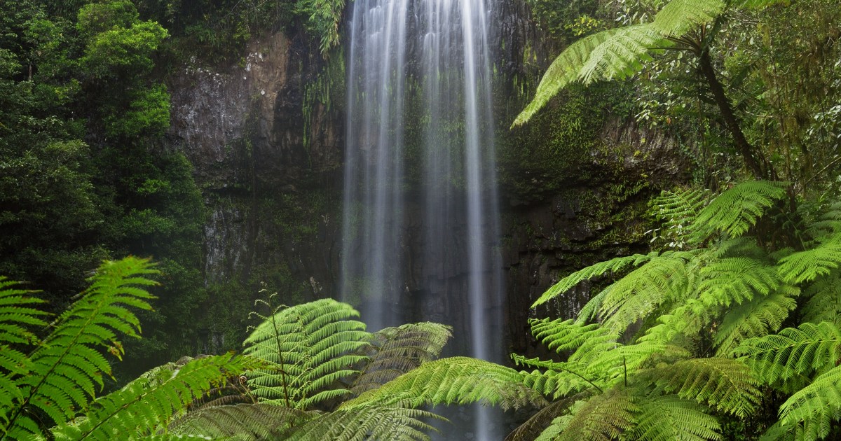 Waterfall victims identified as Indian students