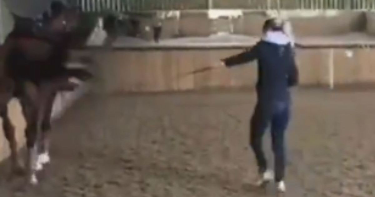 Video shows Olympic champ repeatedly whipping horse