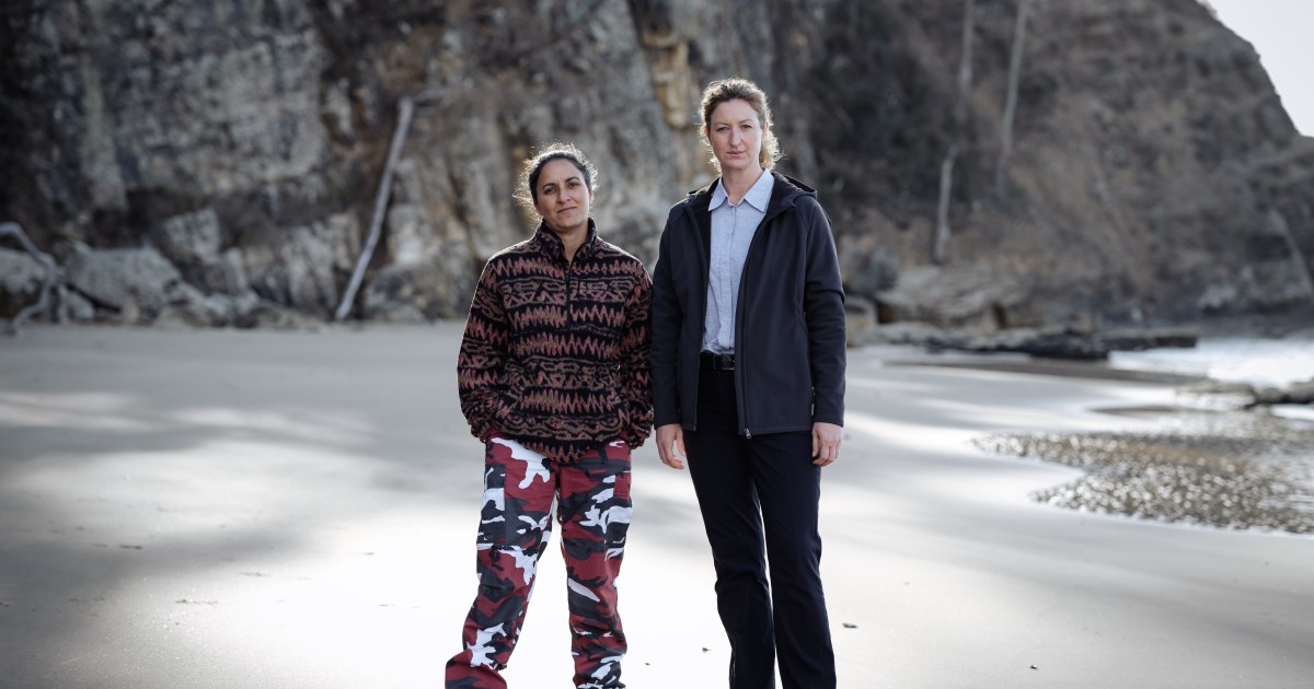 Deadloch star Kate Box talks Logie nominations