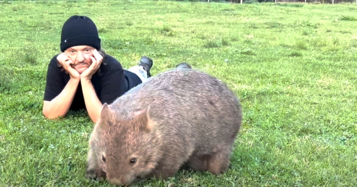 Chris Lilley moves from 'Summer Heights High' to nature docos