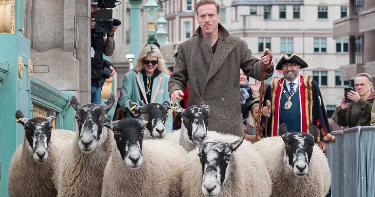 Hollywood star drives sheep across Thames in ancient tradition