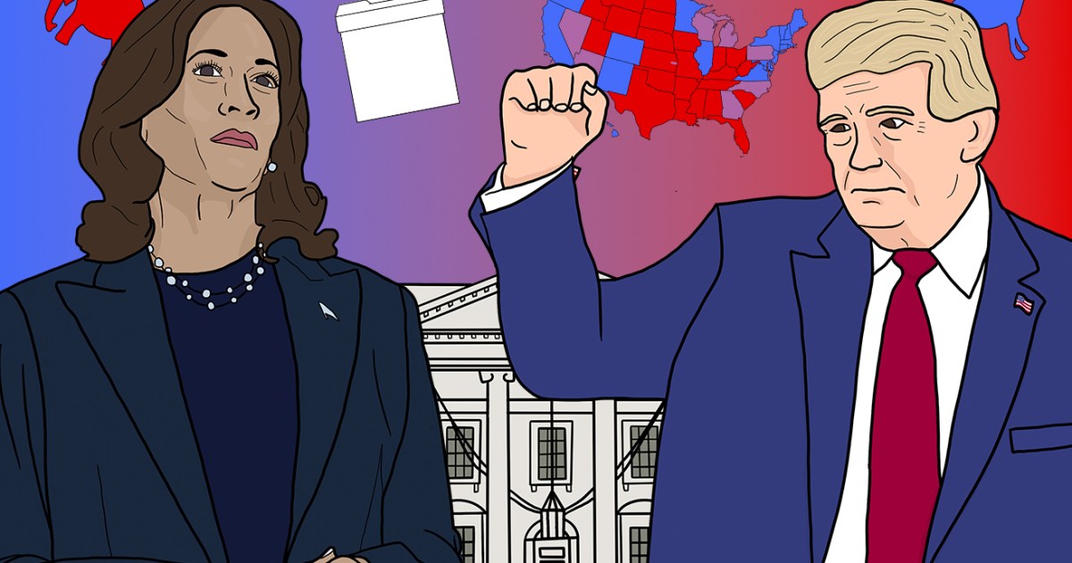 How voting works in the US election: An illustrated guide