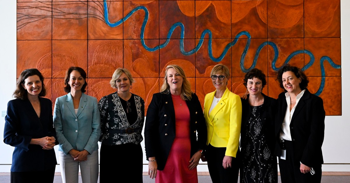 Liberal Party launches new attack against teal independents