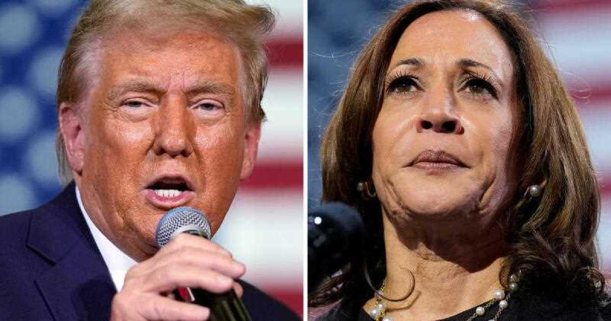 Kamala Harris concedes defeat after delaying speech