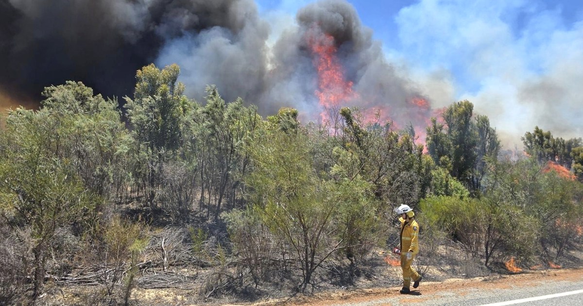 'Too late to leave': Bushfire cuts evacuation routes