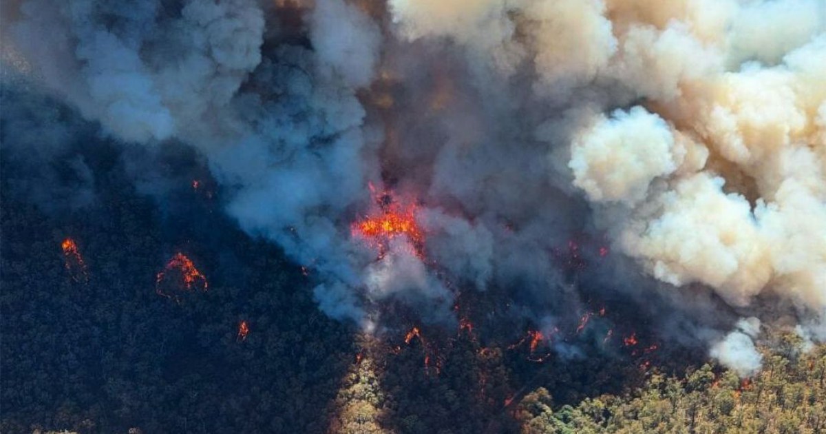 Beach rescues as bushfire nears coastal communities