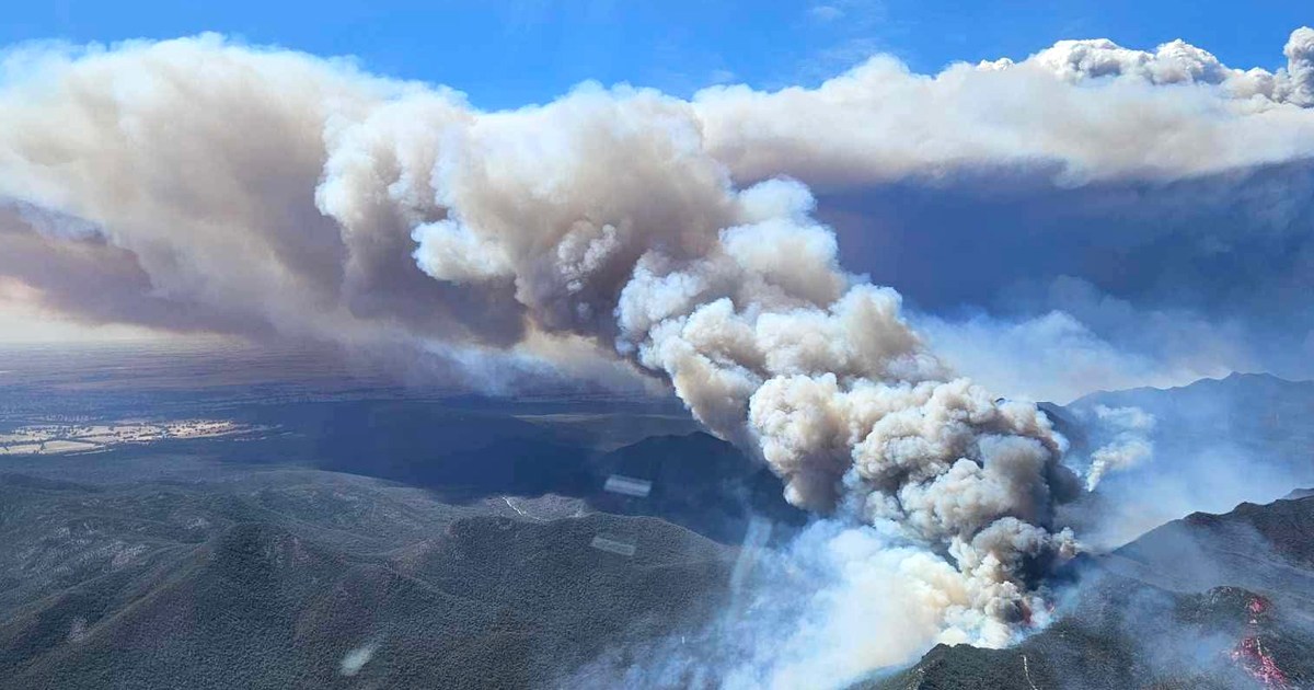 'Leave immediately': Warning for Vic bushfire