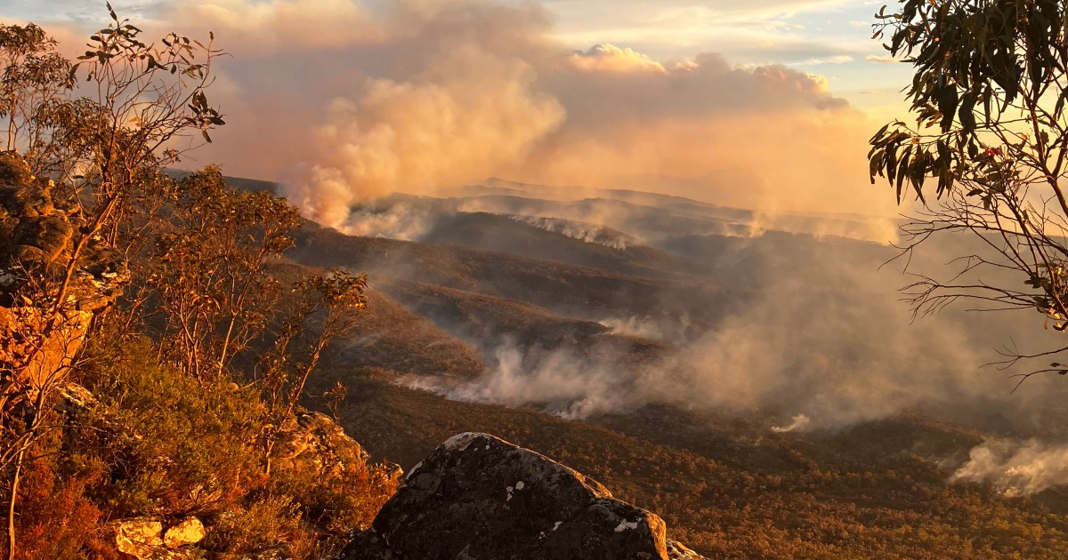 Rain brings bushfire relief, as heat persists for some