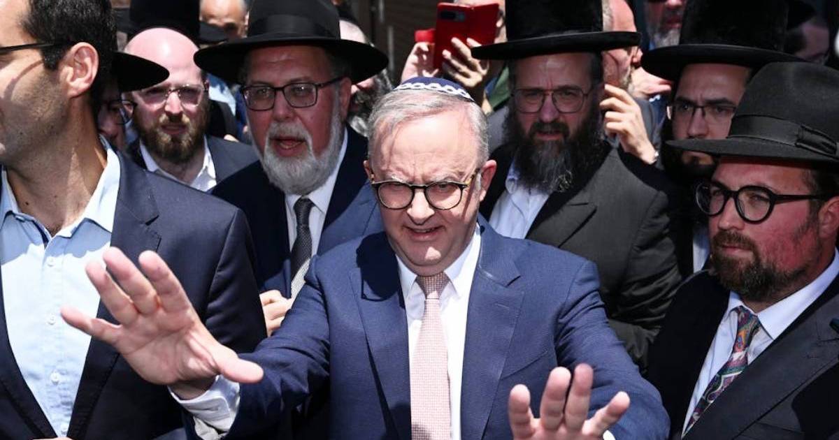 Albanese struggles to strike the right note in antisemitism battle