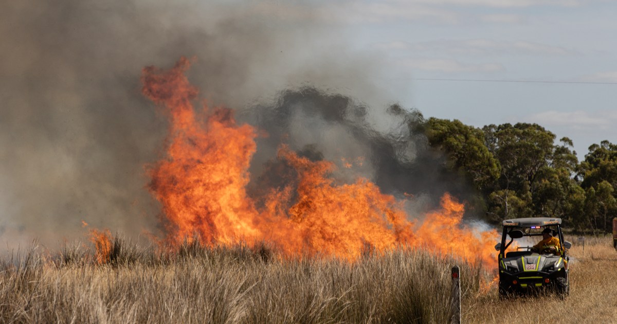 High alert as fires race through national park