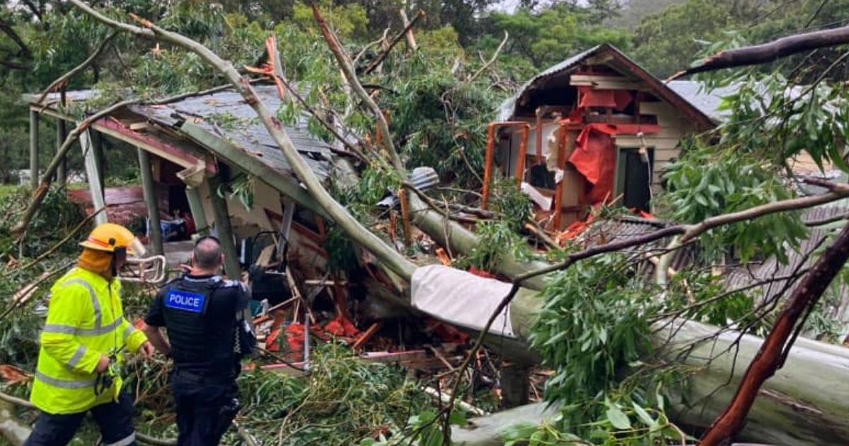 Cyclone Alfred 'packs a punch' as it arrives in SEQ, NSW
