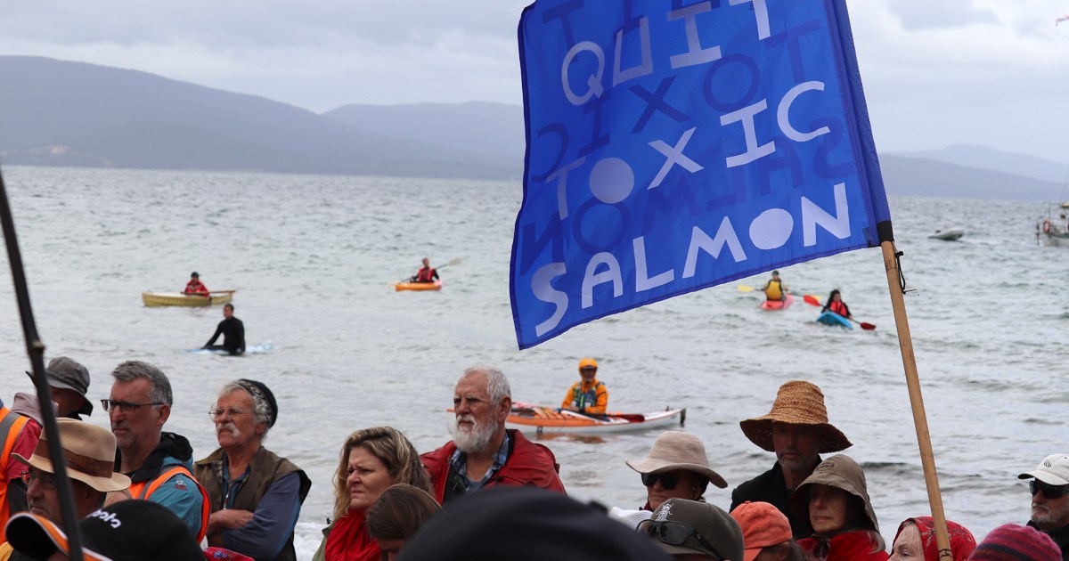 Anti-salmon protest fills beach amid mass farm deaths