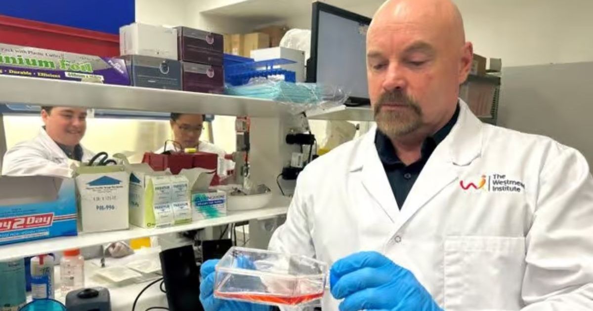 'Cure diabetes': Australia on verge of breakthrough