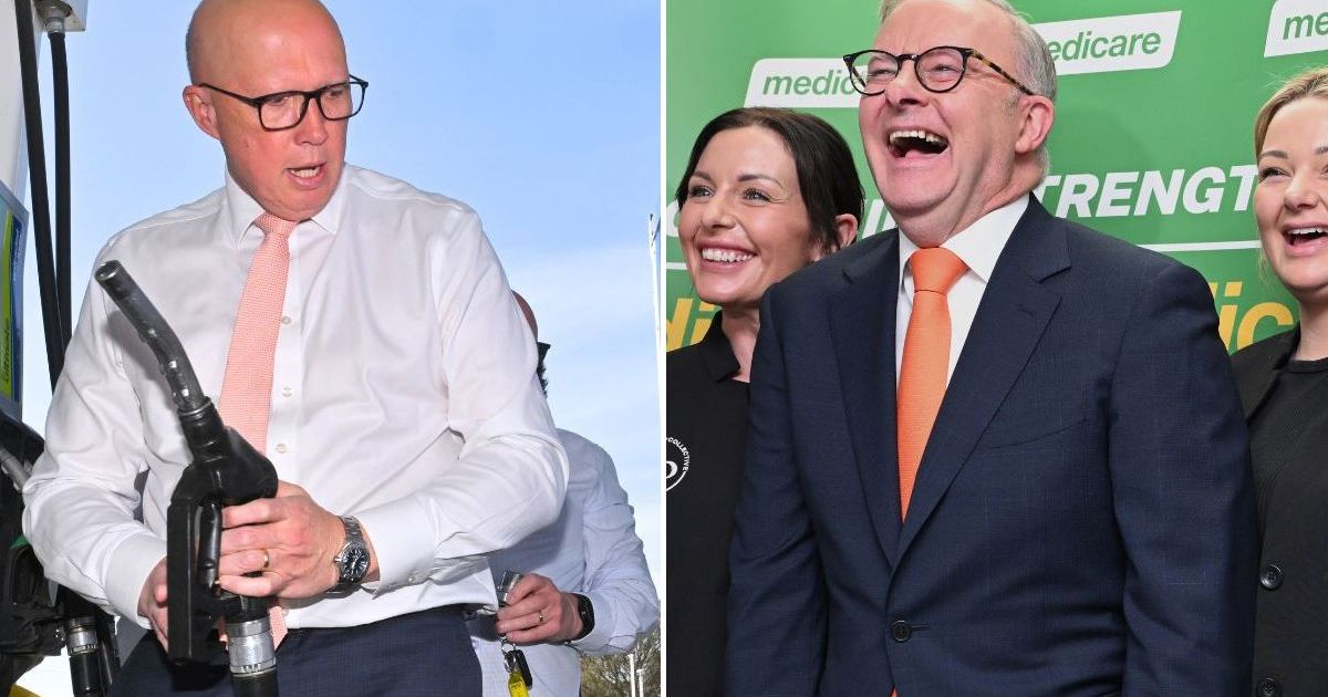 Dutton's popularity collapses during campaign: Poll