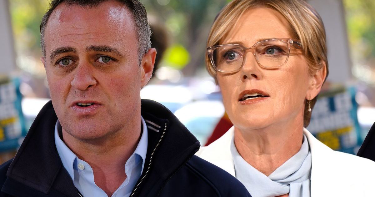 Zoe Daniel wins recount after Tim Wilson win