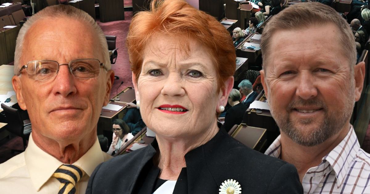 One Nation nabs two final Senate spots in best result