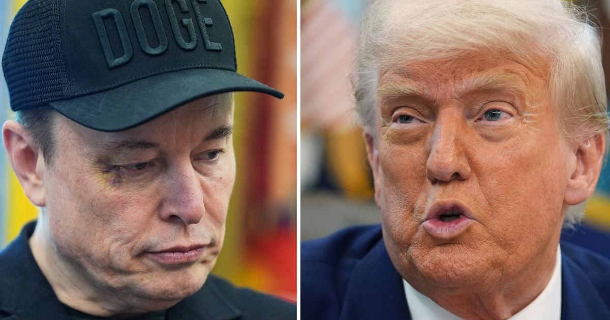'Ridiculous': Trump hits out at Musk's political plans