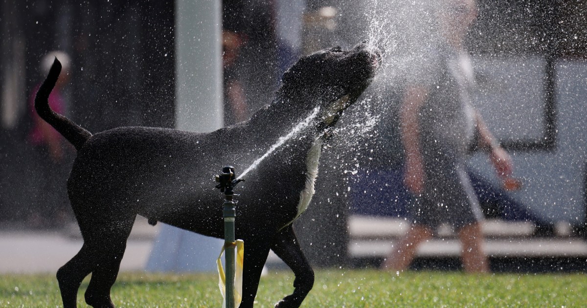 Warnings as UK bakes in the first heat wave of 2025