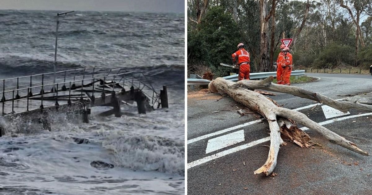 Tidal surges, trees down as wild storm sweeps south-east