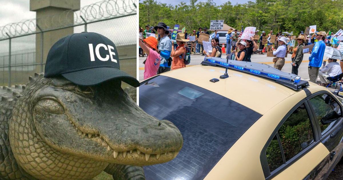 'Alligator Alcatraz': Florida to open swampy detention centre