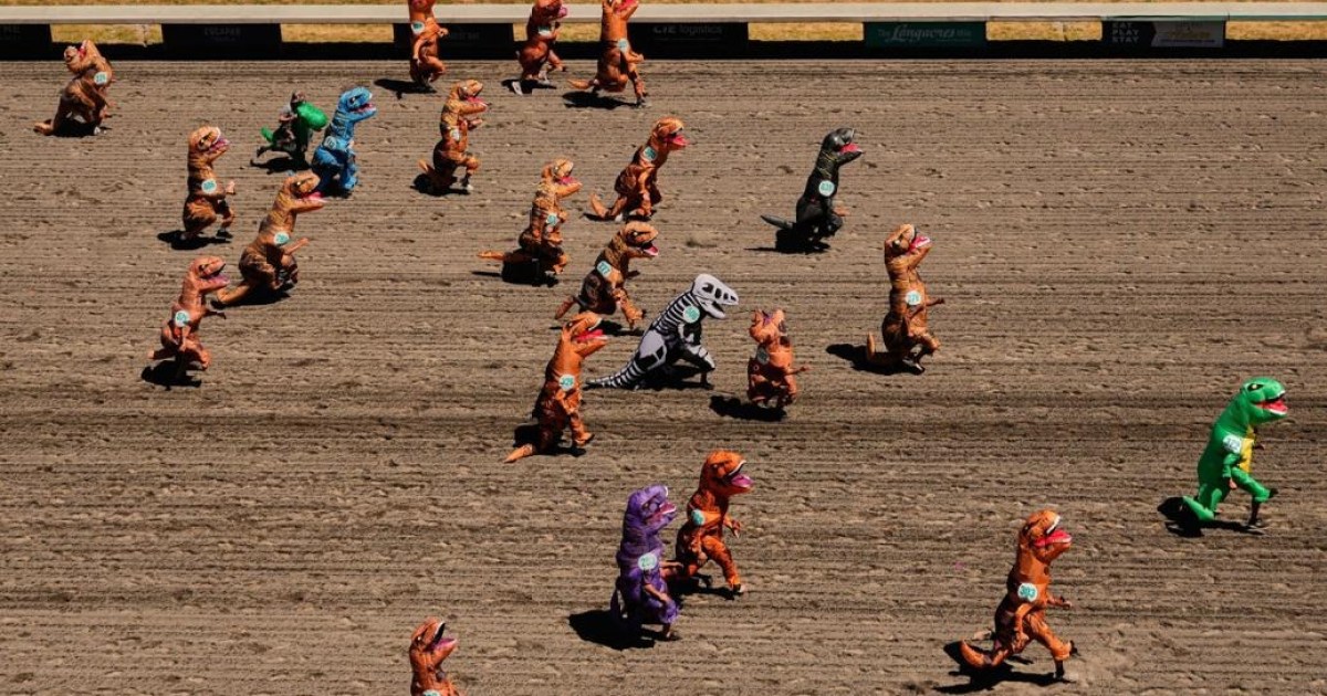 How T-rex racing has become a global feel-good phenomenon