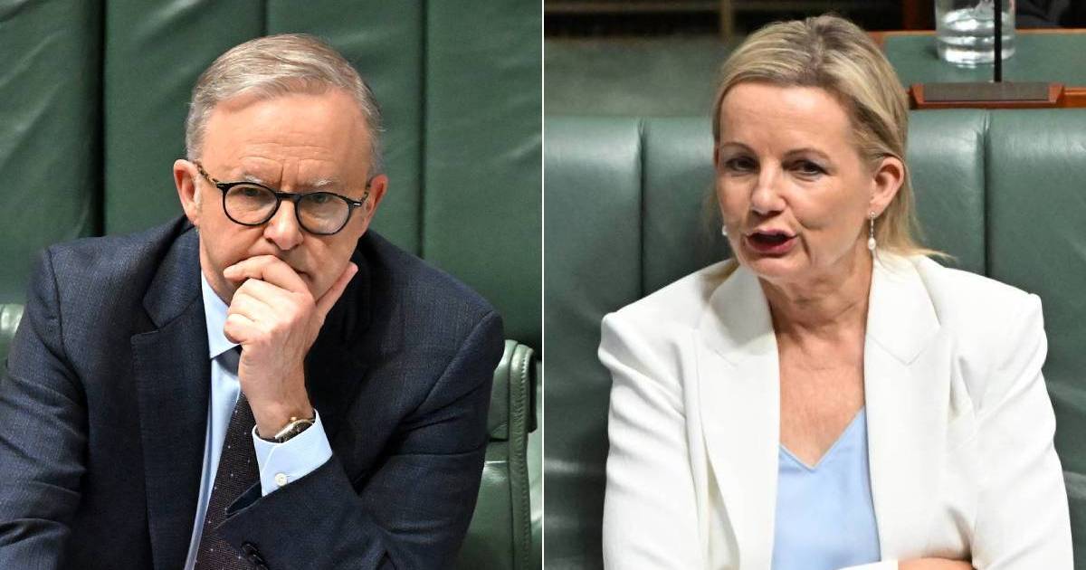 New Parliament presents traps for both Albanese and Ley