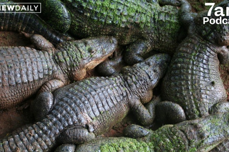 Arrest after Sydney siege | The New Daily