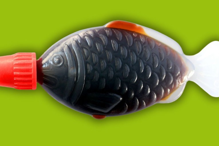 WA banishes loggers from old growth native forests