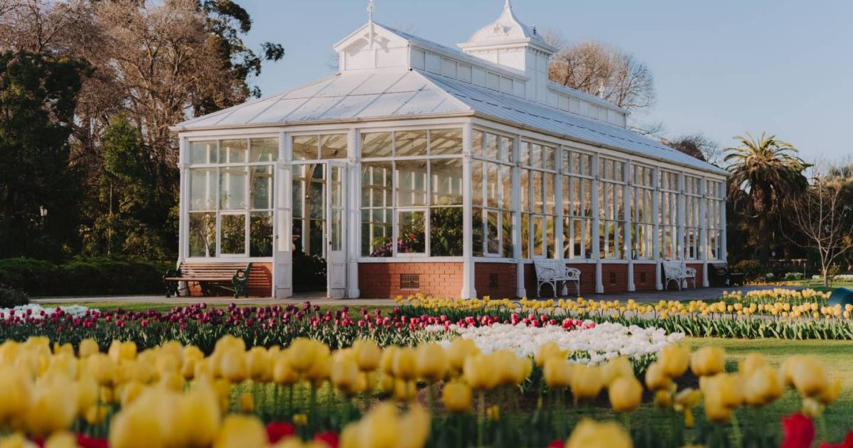 Bendigo in full Bloom: Tulip displays, food, wine and free events this ...