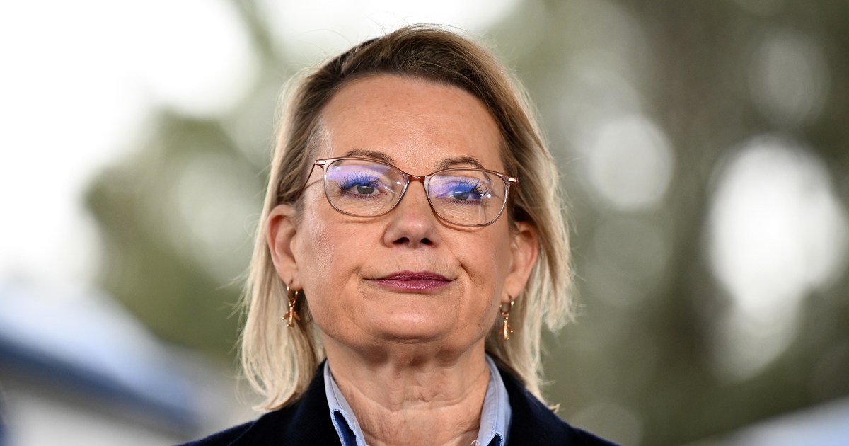 Sussan Ley claims we are too dependent on government support