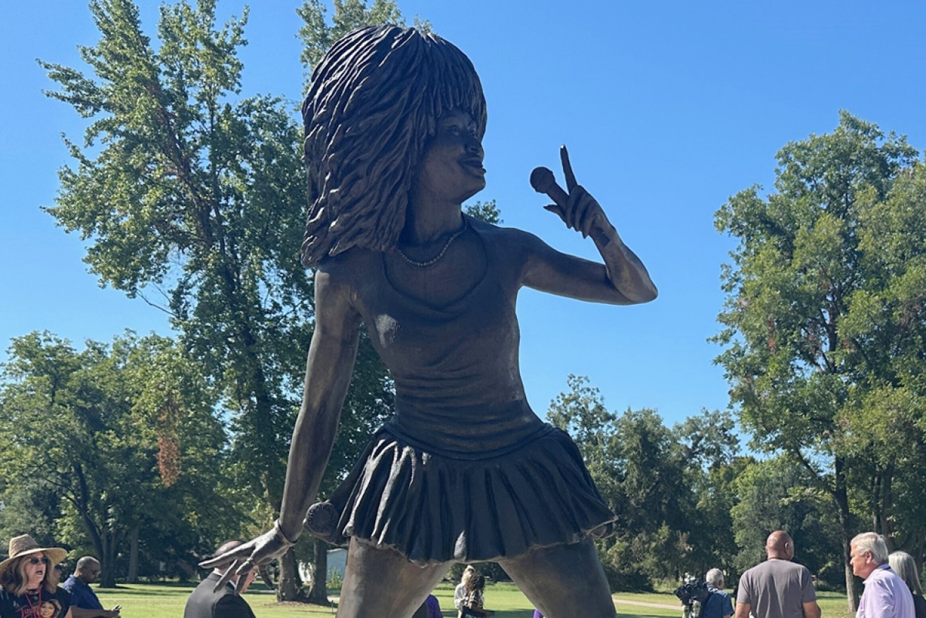 'Never be forgiven: Statue of rock queen Tina Turner roasted
