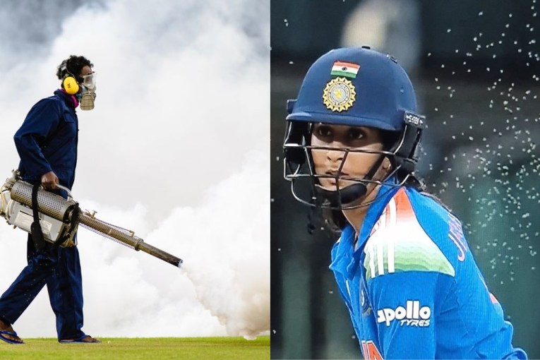 Sprint superstar backs Gout Gout