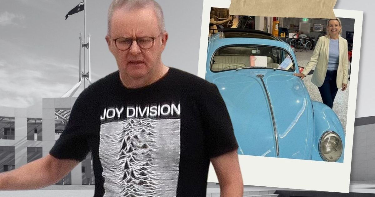 No Joy, only Division: It's just the stupidest stupid we've yet seen