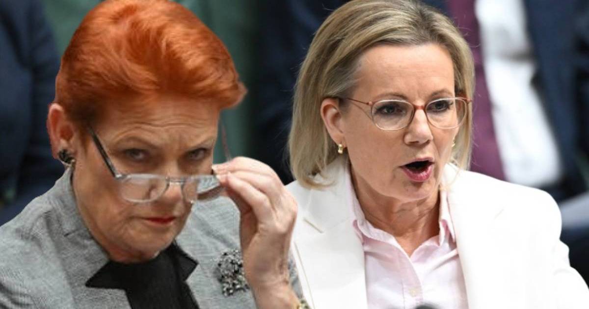 One Nation may overtake Coalition as conservative opposition