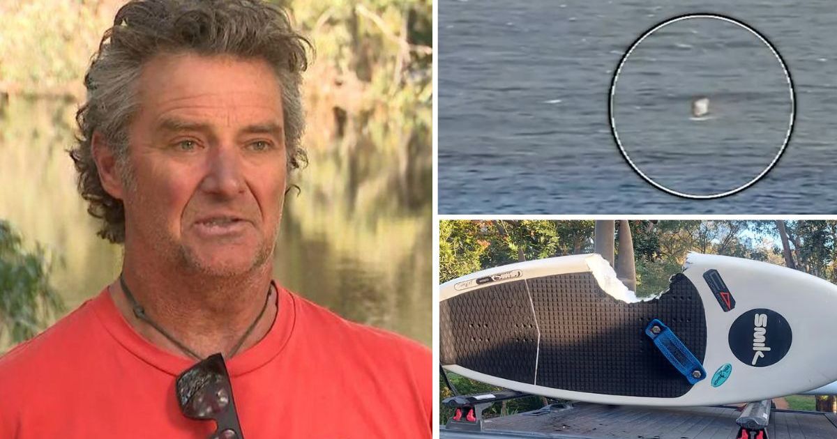 Surfer wrestles shark that 'hit like a freight train'