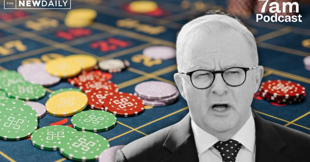Is Albanese pressuring Labor to keep quiet on gambling?