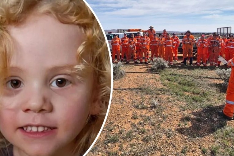 Update in grim search for Gus