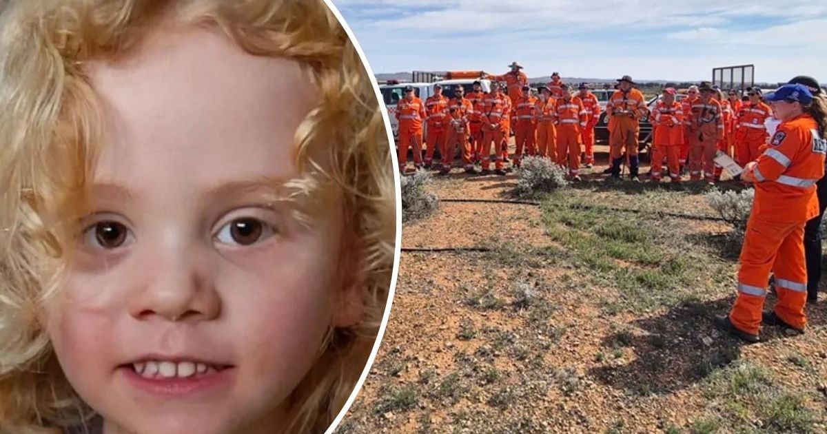 Update in grim search for Gus