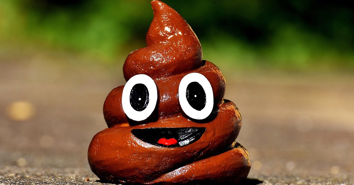 How to donate your poo to science or medicine