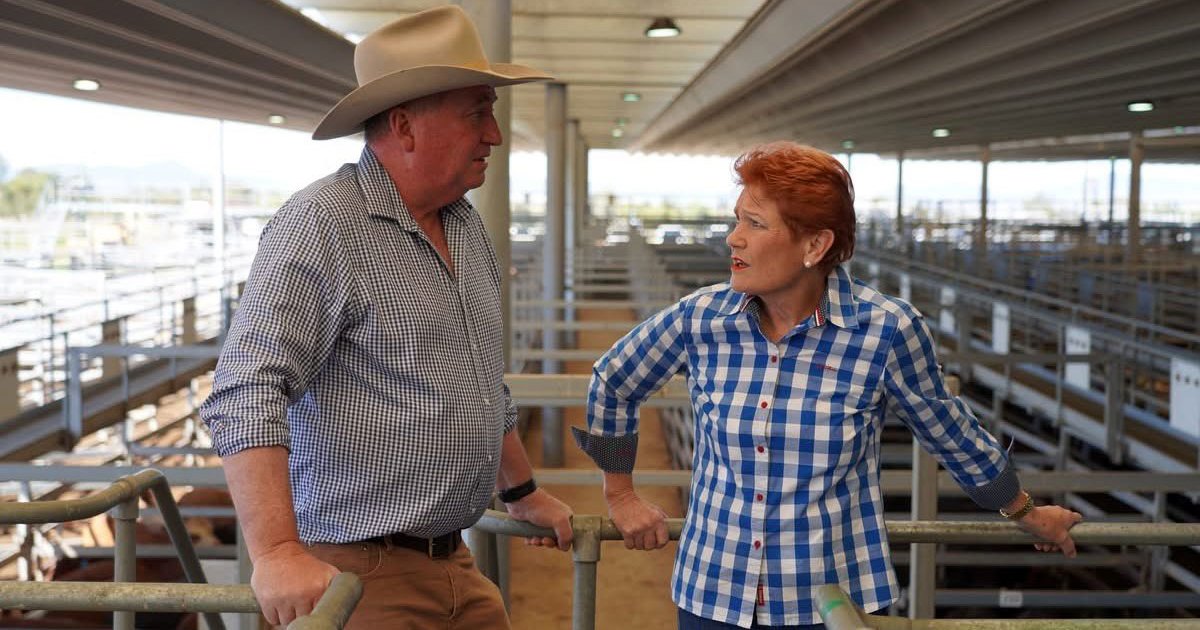 'Fellow travellers': Barnaby Joyce joins One Nation