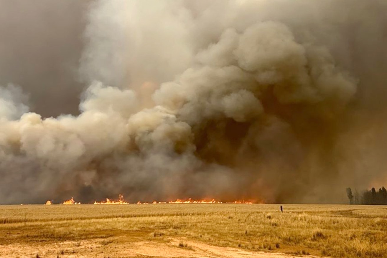 Volunteer firefighter dies battling big WA blaze