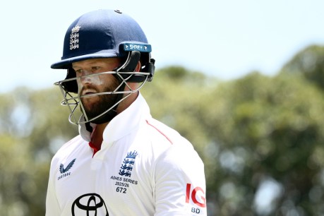 Sports News - Latest Sports Updates, Results, Scores | The New Daily