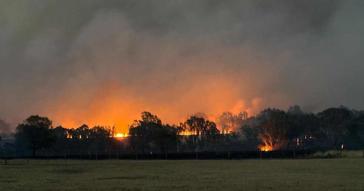 What to do in the face of catastrophic fire danger