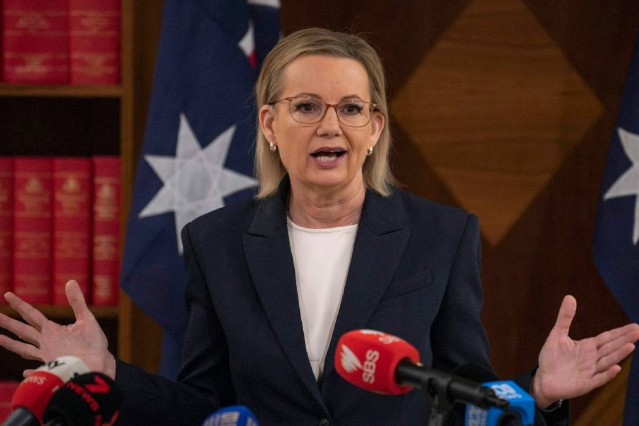 Ley’s allies vow support amid spill 'frenzy'