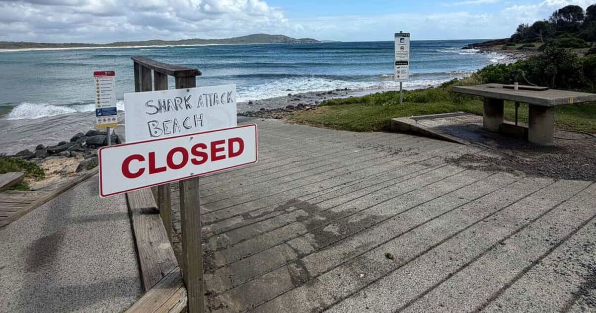 Fourth shark attack confirmed as more beaches close