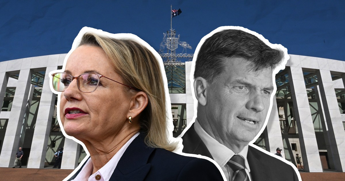 Taylor wins comprehensive victory in Lib leadership spill