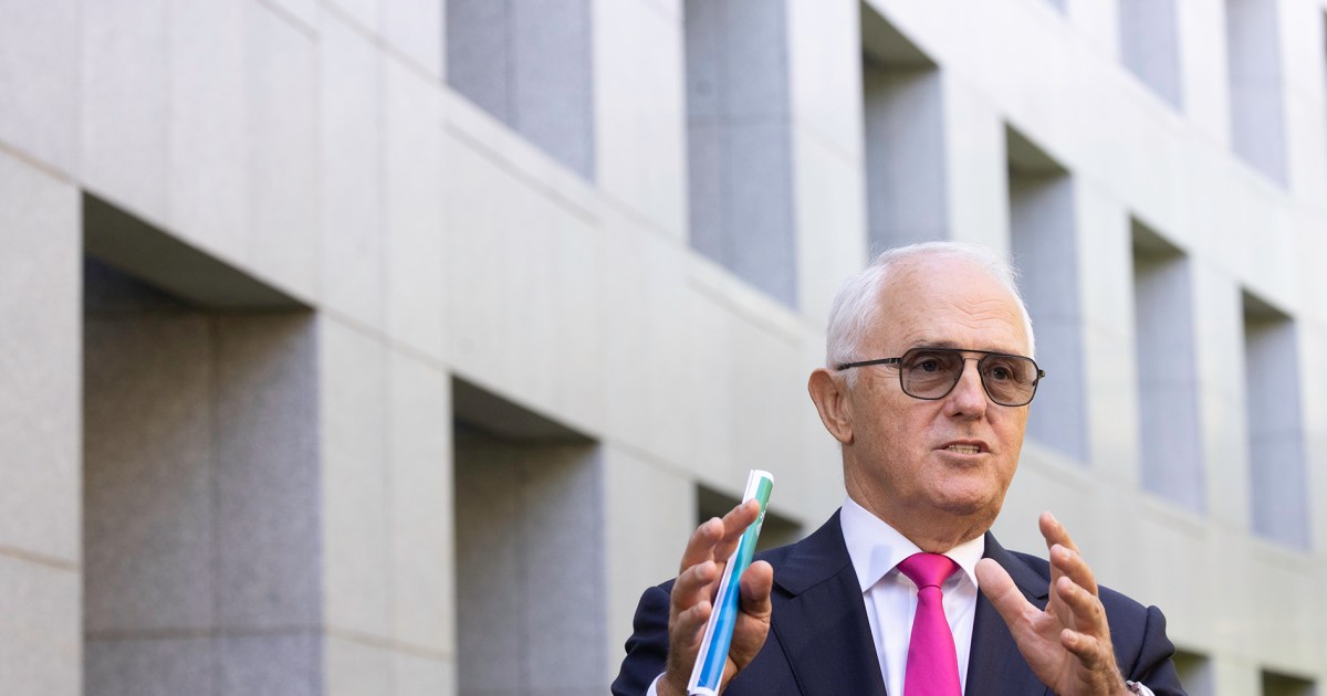 Turnbull: Libs in 'la la land', no endorsement for Taylor