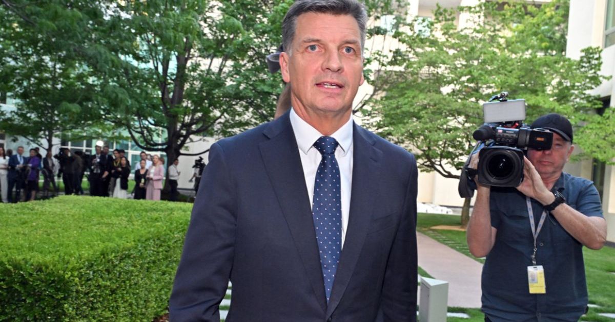 Spill against Ley looms as Taylor pulls the trigger